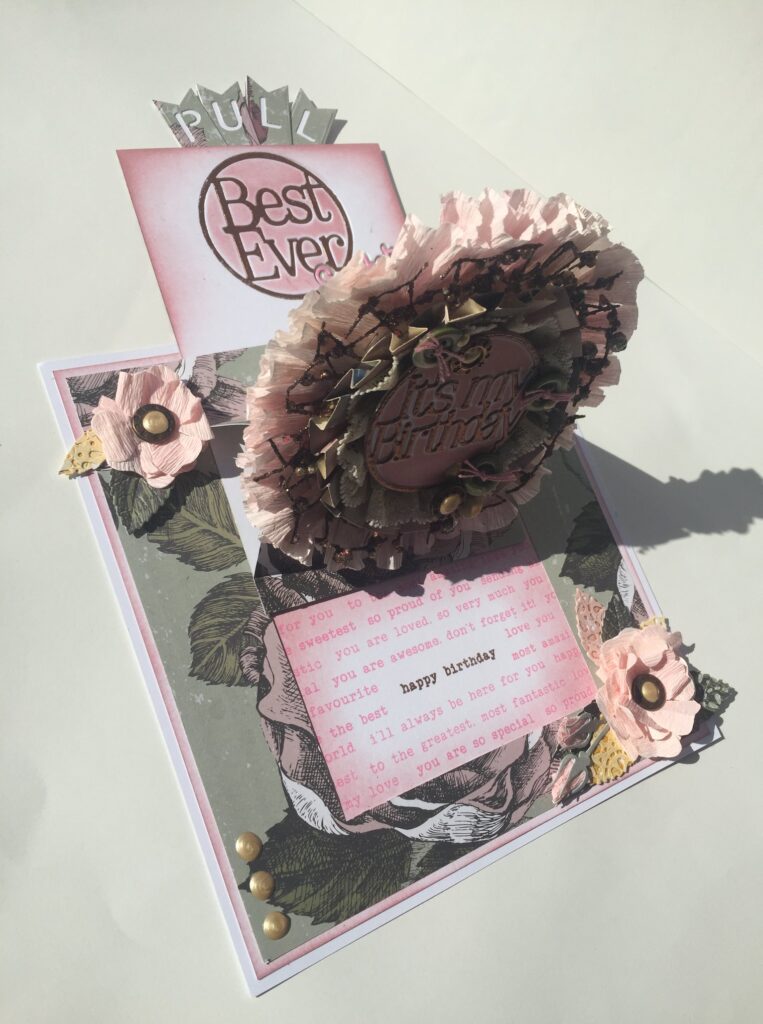 Claire Boyd | Claina Palmer Designs